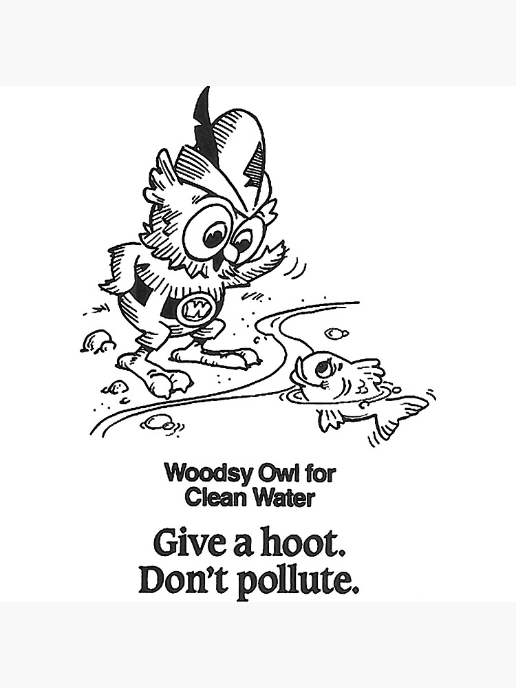 "Woodsy Owl Give a Hoot. Don't Pollute" Poster for Sale by SerViGo815 ...