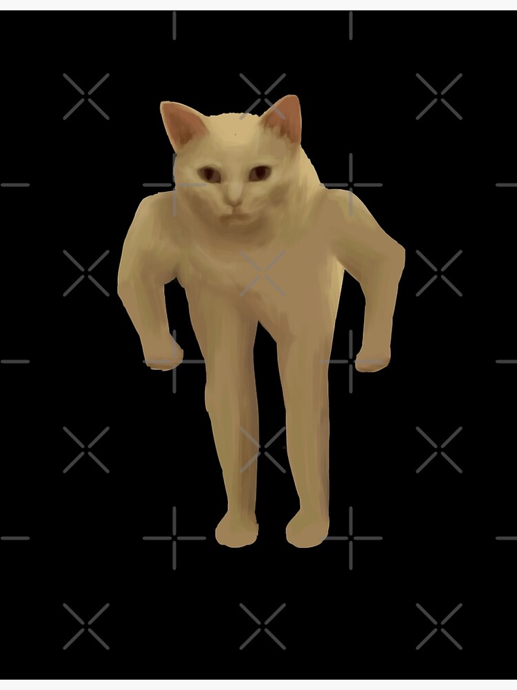 "Buff Half Cat Meme" Photographic Print for Sale by ceilrstt | Redbubble