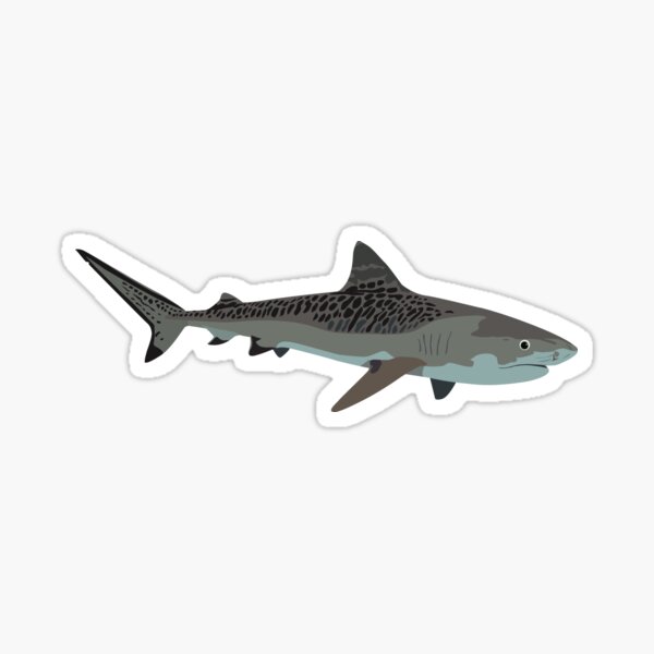 "Tiger Shark" Sticker for Sale by NorseTech | Redbubble