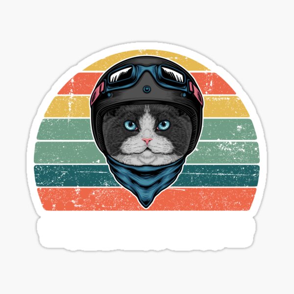 "RIDER CAT " Sticker by sascraa | Redbubble