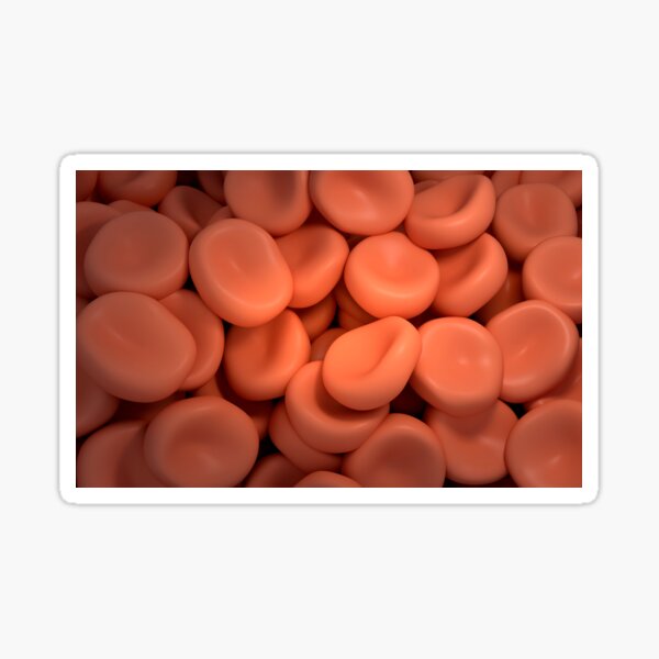 "Conceptual image of red blood cells." Sticker by StocktrekImages ...