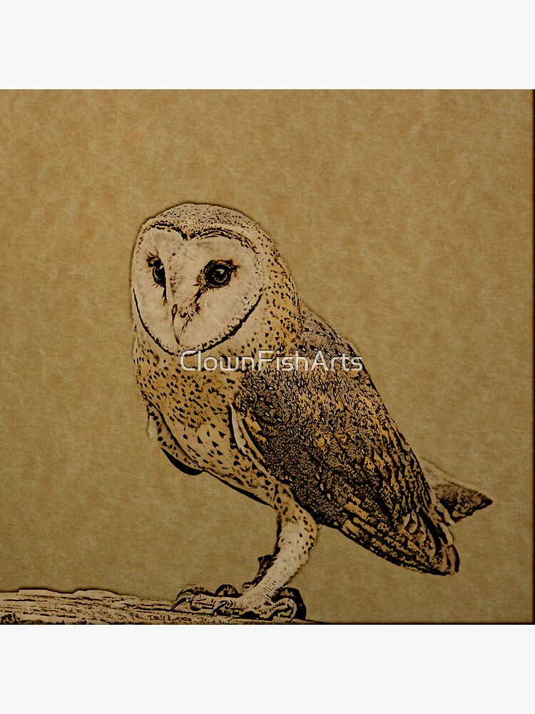 "Barn Owl Line Art" Sticker by ClownFishArts | Redbubble