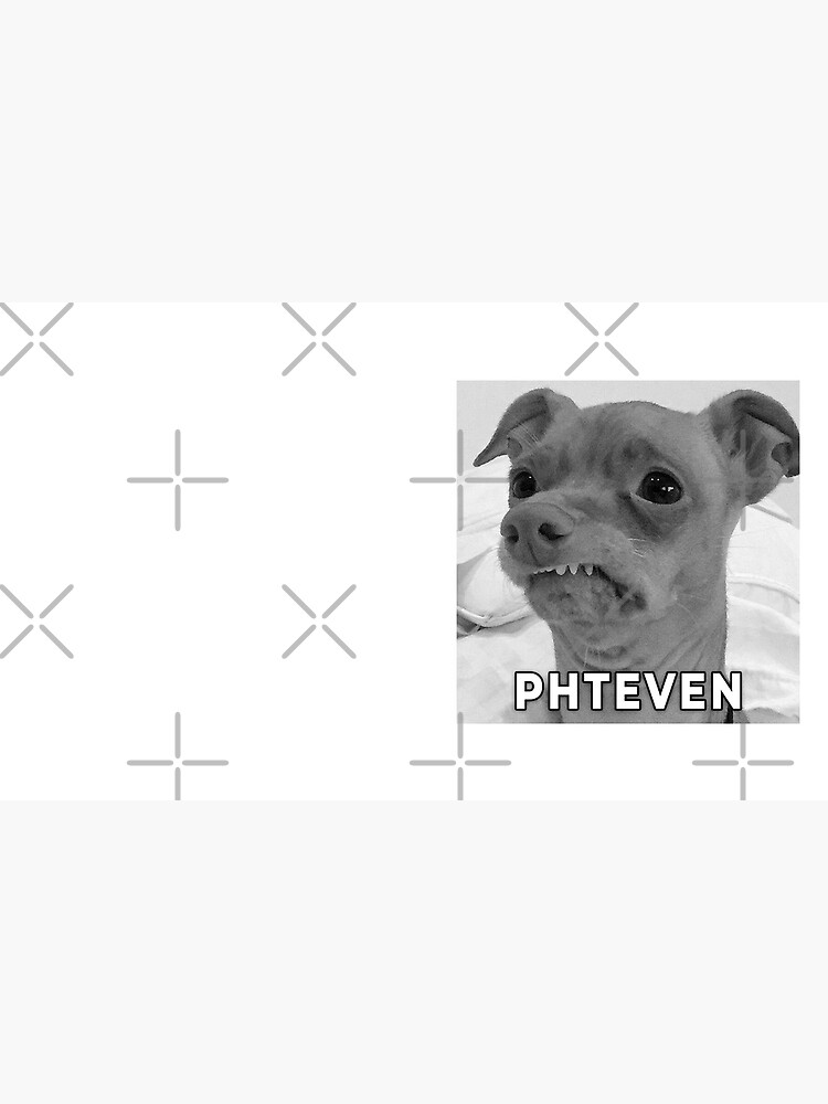 Phteven Dog Car