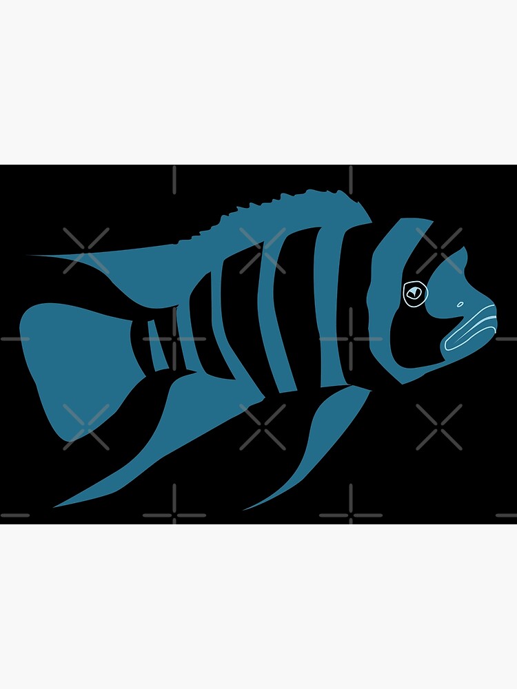 "Frontosa Cyphotilapia frontosa Tanganyika Front Cichlid #1843" Art ...
