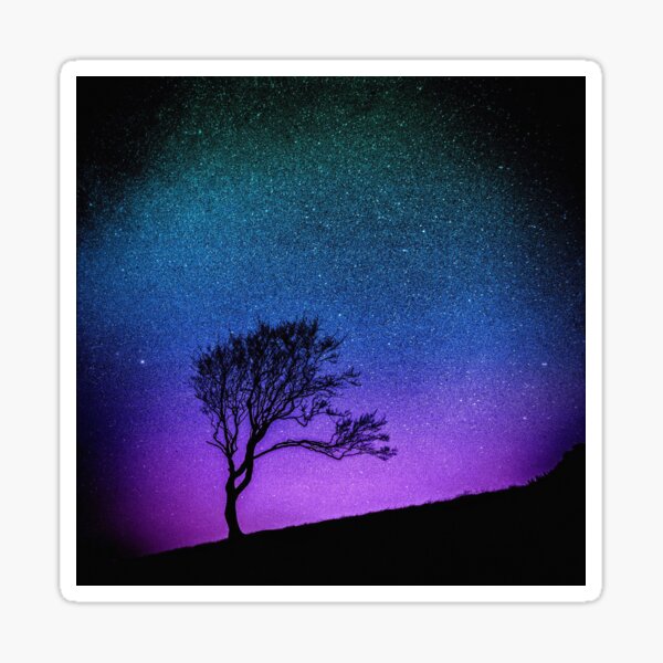 "Starry Starry Night" Sticker for Sale by SMSFineArt | Redbubble