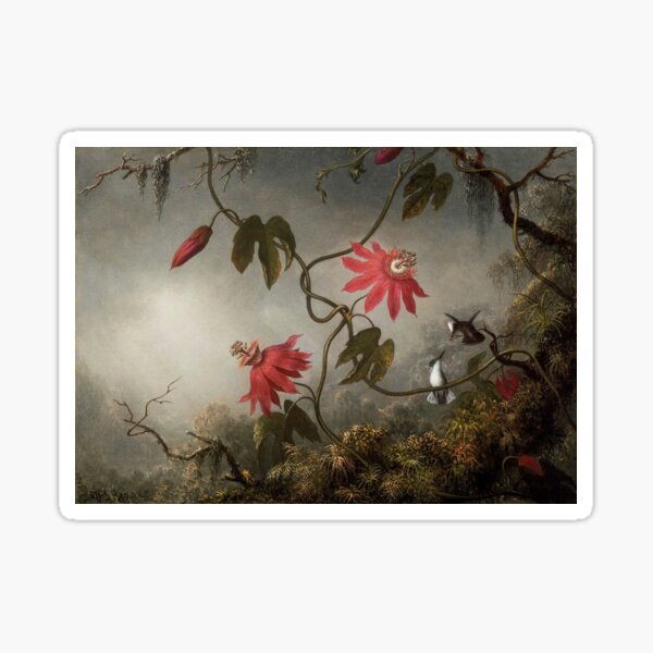 "Martin Johnson Heade - Passion Flowers and Hummingbirds" Sticker for ...