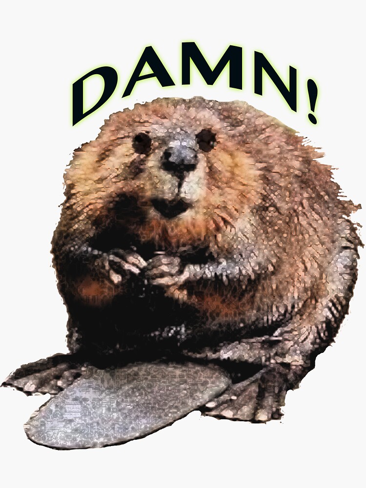 "Damn Beaver" Sticker by JustSueNielsen | Redbubble