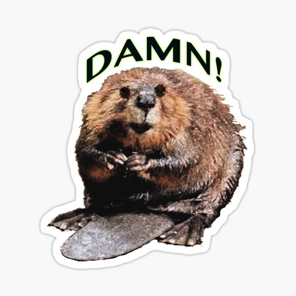 "Damn Beaver" Sticker by JustSueNielsen | Redbubble