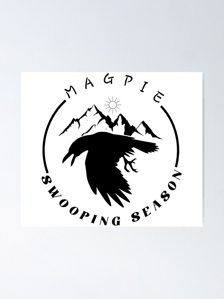 "swooping magpie" Poster for Sale by Mosta-Designs | Redbubble