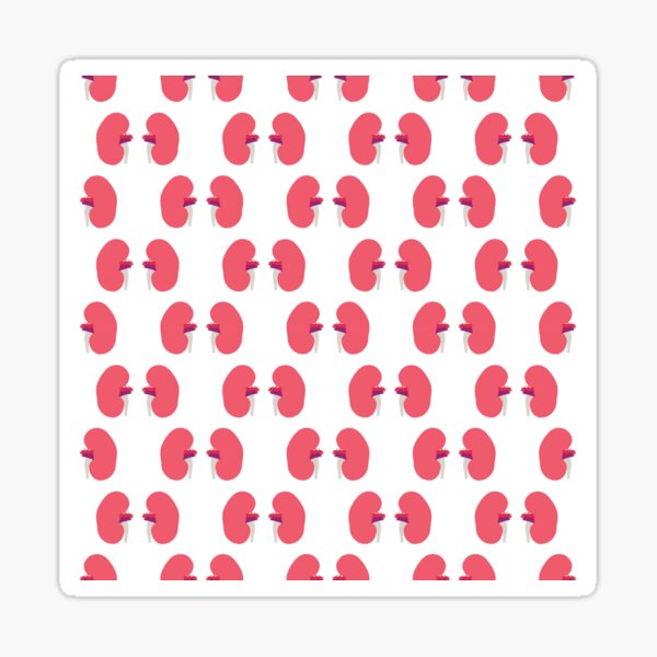 "human kidneys pattern" Sticker for Sale by zizimentos | Redbubble