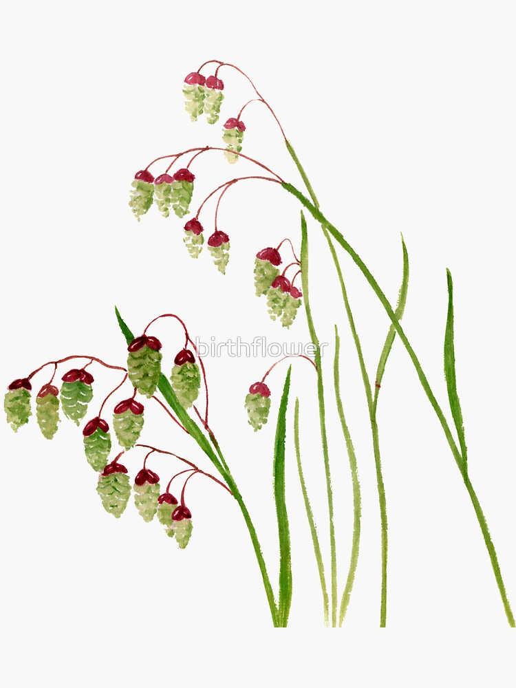 "September 22nd birthday flower" Sticker for Sale by birthflower ...