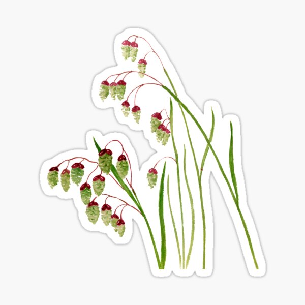 "September 22nd birthday flower" Sticker for Sale by birthflower ...