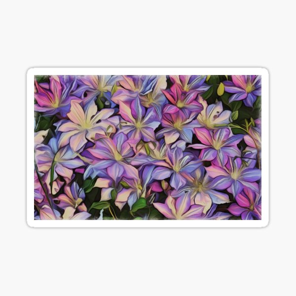 "COLORFUL CLEMATIS " Sticker for Sale by Fzorbinjr58 | Redbubble