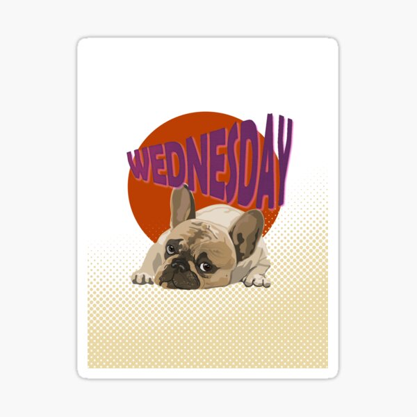"WEDNESDAY MOODY PUG Weekday print design must have." Sticker by ...