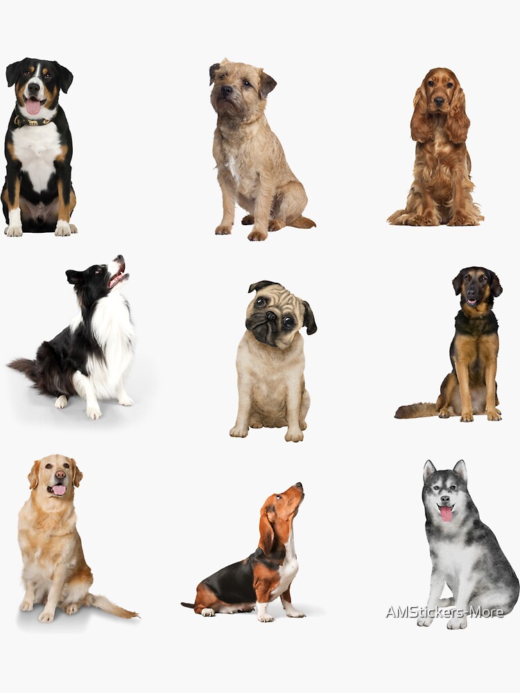 " Cute Dogs and Puppies Photo Cutouts #2" Sticker by AMStickers-More ...