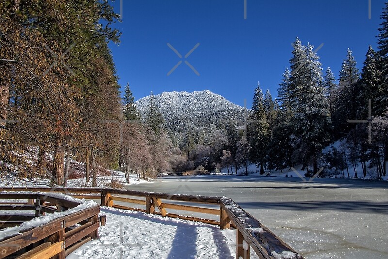 "Snow in Idyllwild" by CarolM | Redbubble