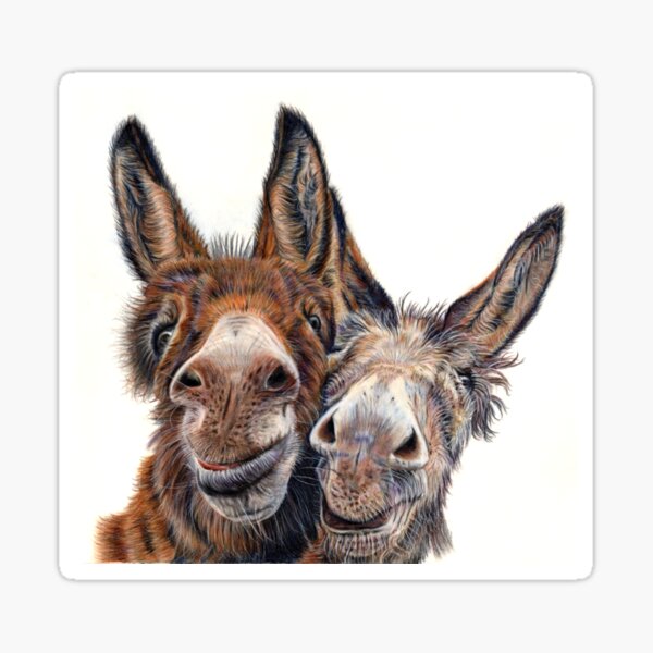 "Donkeys - Hee Haw Sticker" Sticker by MahmoudZaid | Redbubble