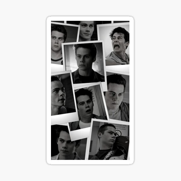 "stiles stilinski" Sticker for Sale by victoireblld | Redbubble