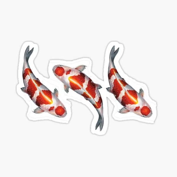 "Koi Fish red sticker , handmade" Sticker for Sale by kantan259 | Redbubble