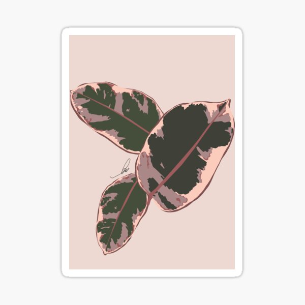 "Ruby Rubber Tree" Sticker for Sale by smashleyeg | Redbubble