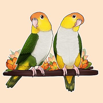 "Cute Caique Parrots" Poster for Sale by meruesan | Redbubble