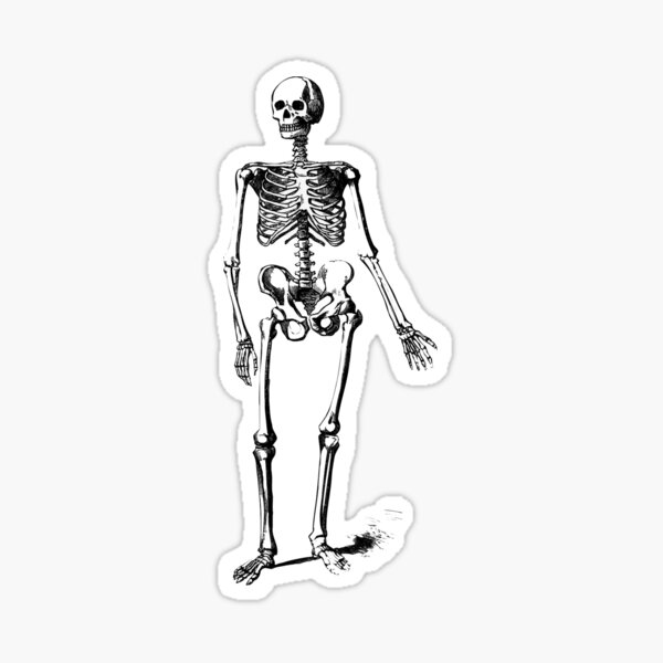 "Skeleton Sticker" Sticker by MushiRomz | Redbubble