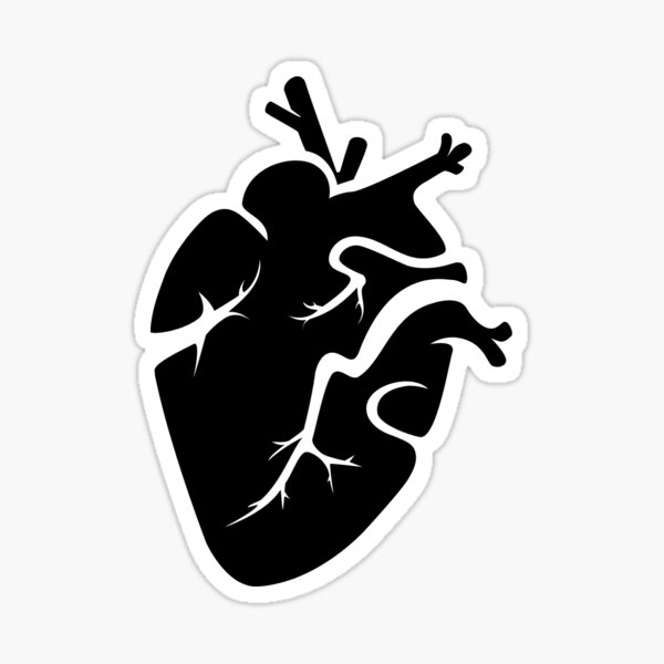 "human heart" Sticker by Anyuletastore | Redbubble