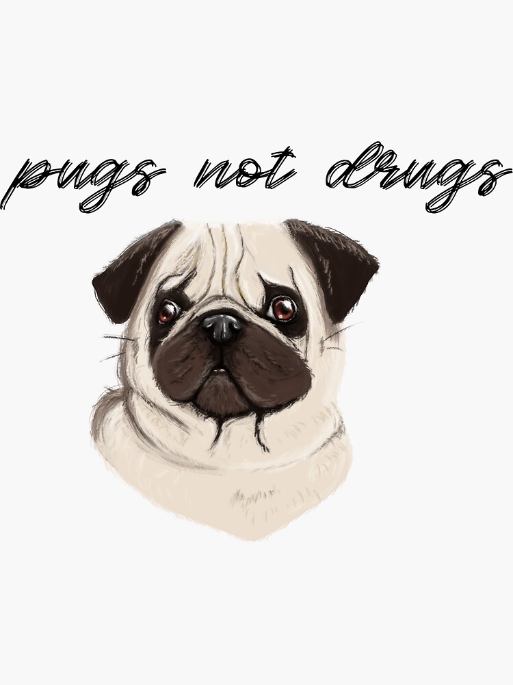"Pugs not drugs" Sticker by JennyJacobs | Redbubble