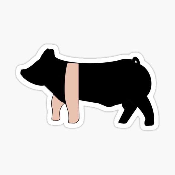 "SHOW PIG" Sticker for Sale by haydenmakenna | Redbubble