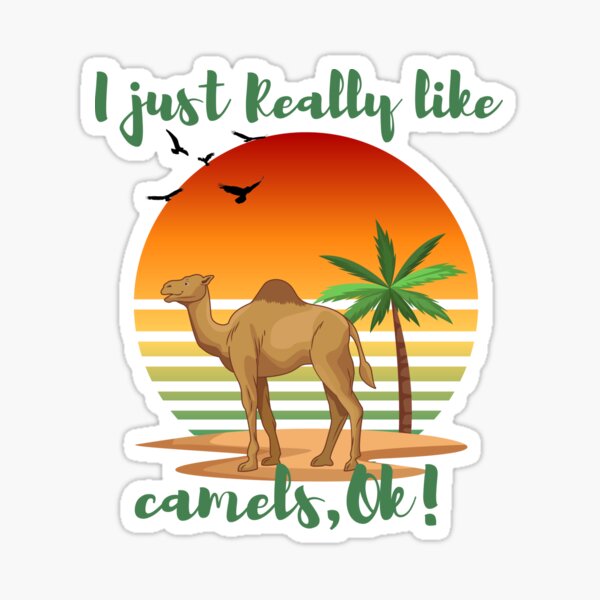 "I just really like camels ok, camel desert lovers 2022 stikers ...