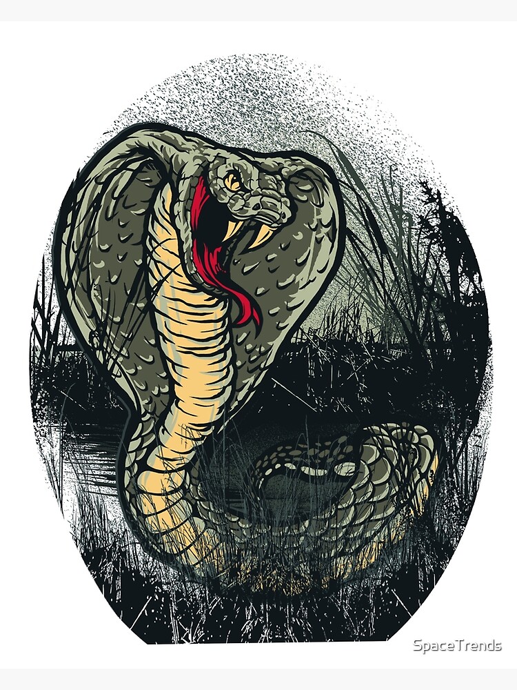 "Graffiti Cobra Snake" Poster for Sale by SpaceTrends | Redbubble