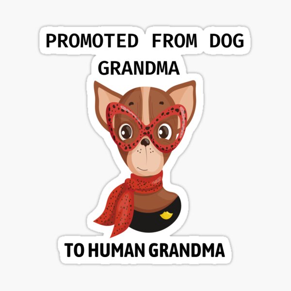 "Promoted From Dog Grandma To Human Grandma" Sticker by ImDamian ...