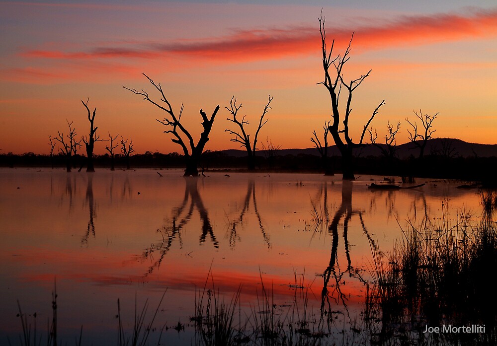 "Lake Fyans Grampians" by Joe Mortelliti | Redbubble
