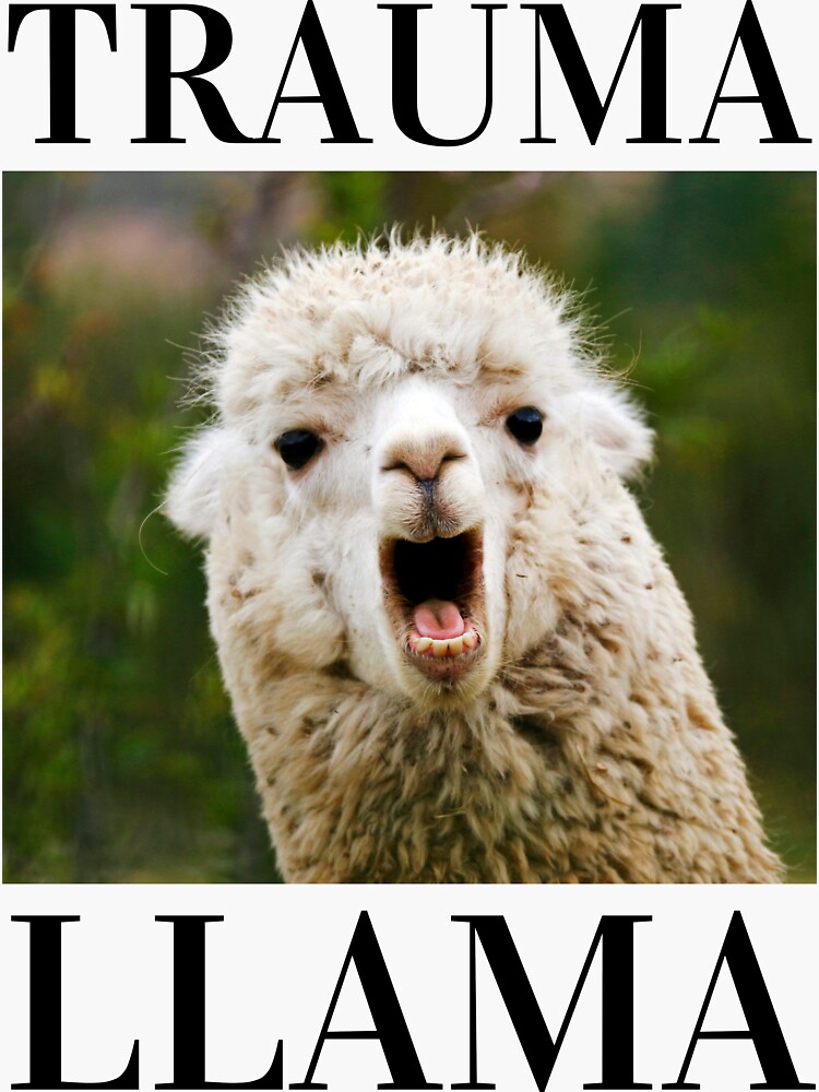 "Trauma Llama" Sticker by Hebrews810 | Redbubble