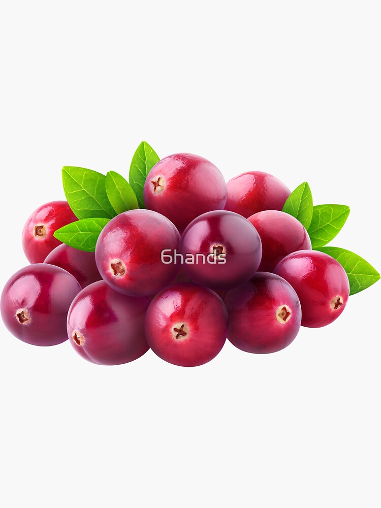 "Cranberries" Sticker for Sale by 6hands | Redbubble