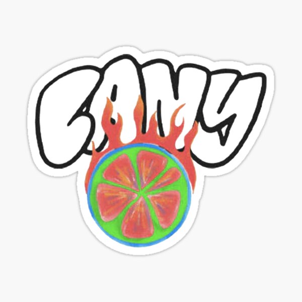 "LANY Random" Sticker for Sale by fazekitkat | Redbubble