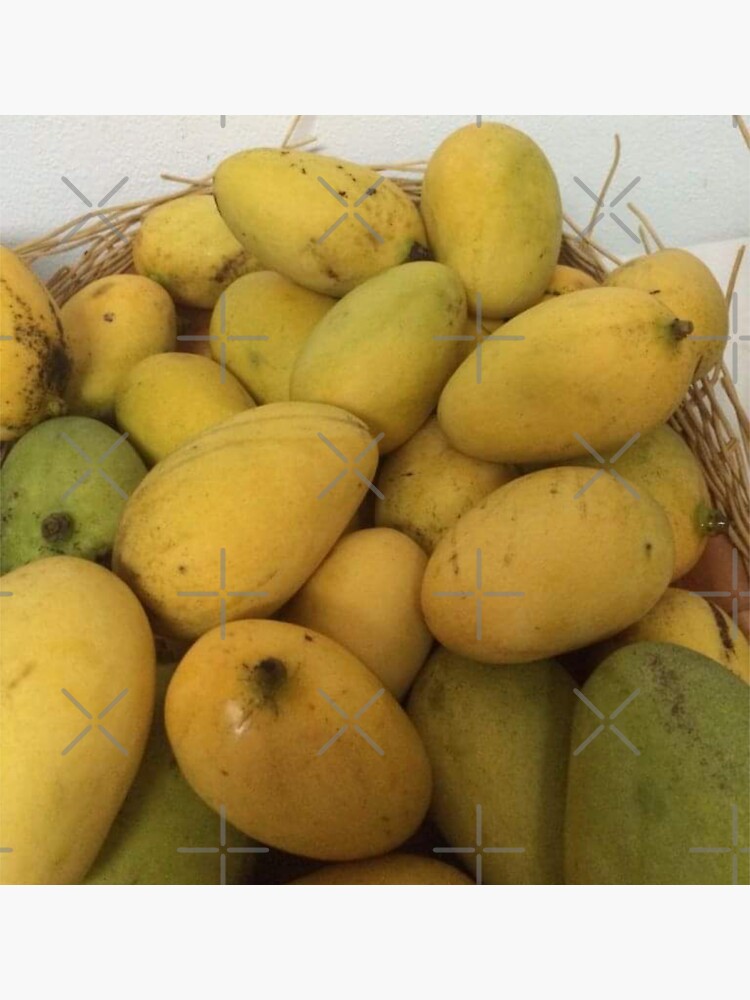 "Mangoes " Sticker by TShirtandTings | Redbubble