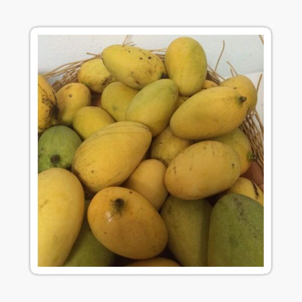 "Mangoes " Sticker by TShirtandTings | Redbubble