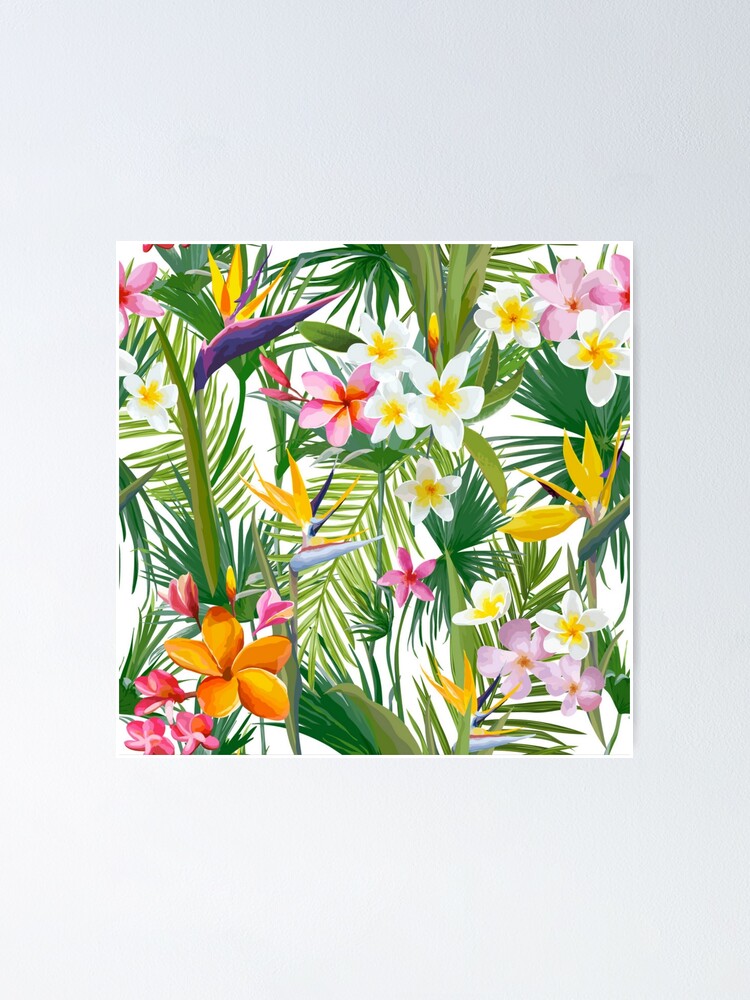 "plumeria rubra flowers colorful " Poster for Sale by 4JohnLewis ...