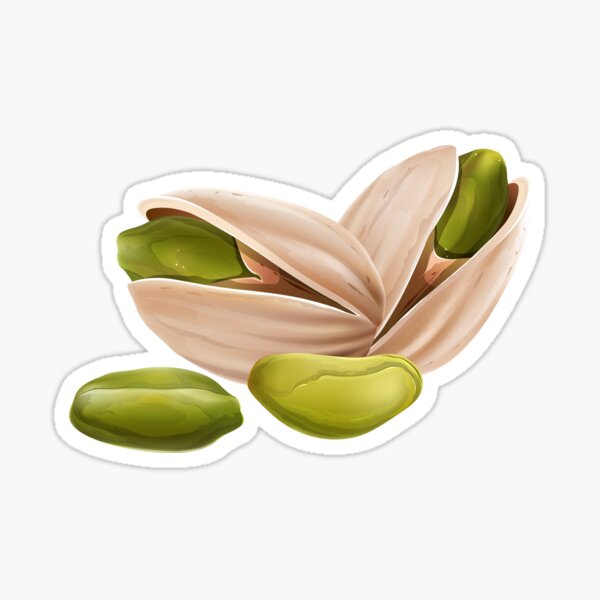 "pistachio sticker" Sticker for Sale by fulbag588 | Redbubble