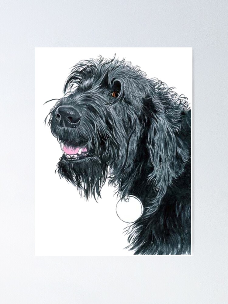 "Smiling Labradoodle" Poster by Skosty75 | Redbubble