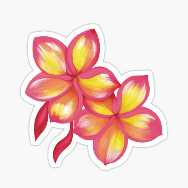 "Plumeria Flower" Sticker by Maymoonah | Redbubble