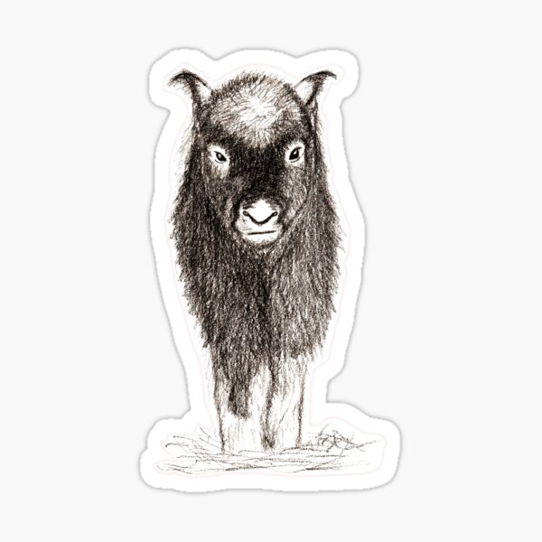 "Baby Yak" Sticker for Sale by TheLaughingSeal | Redbubble
