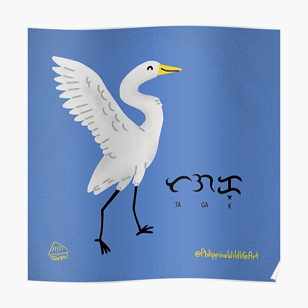 "Great Egret or Tagak in Filipino and Baybayin, Ardea alba" Poster by ...