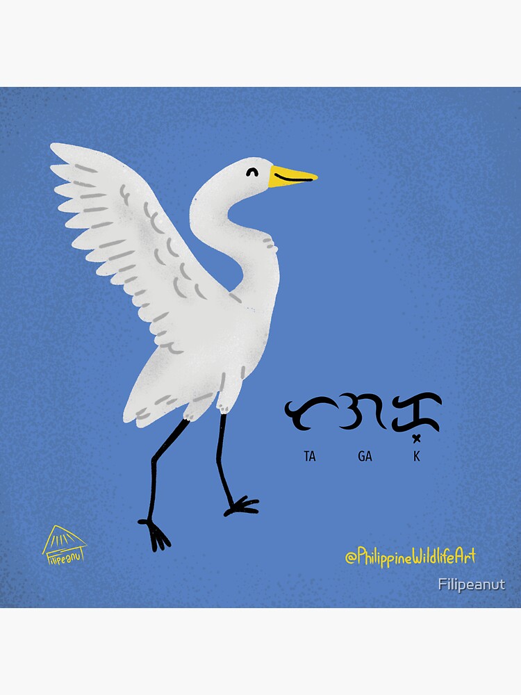 "Great Egret or Tagak in Filipino and Baybayin, Ardea alba" Sticker for ...