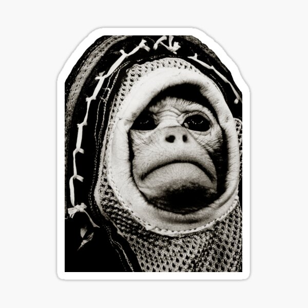 "Sad Space Monkey" Sticker for Sale by DudePal | Redbubble