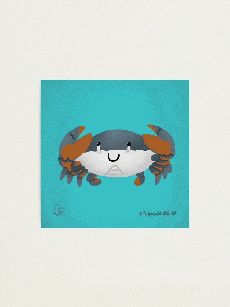 "Alimango in Filipino and Baybayin, mud crab or mangrove crab, Scylla ...