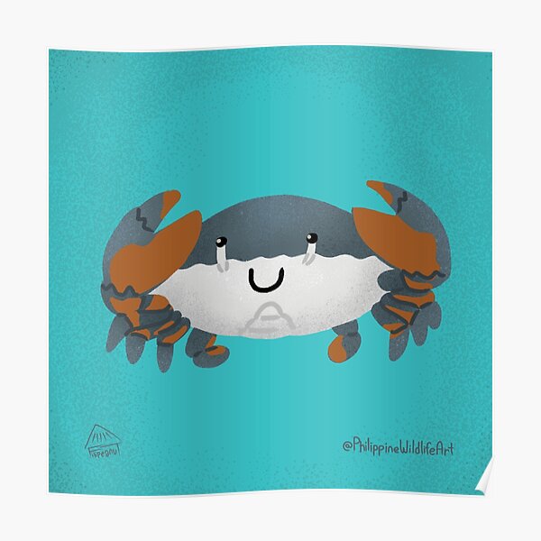 "Alimango in Filipino and Baybayin, mud crab or mangrove crab, Scylla ...