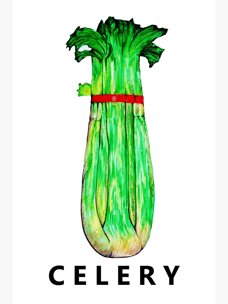 Celery Canvas Print By Jonpaulg Redbubble