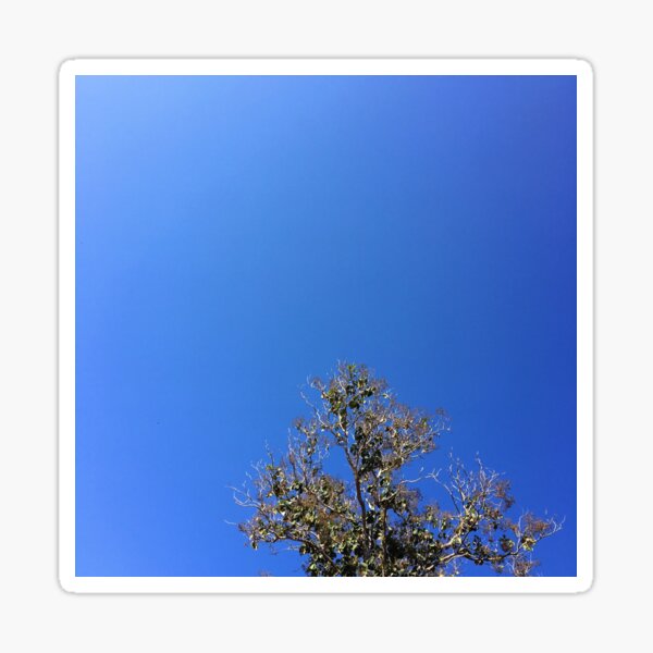 "Clear Sky" Sticker for Sale by HelloSunset | Redbubble